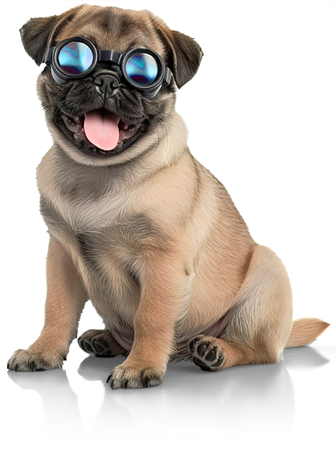 Services | LinearPhysics